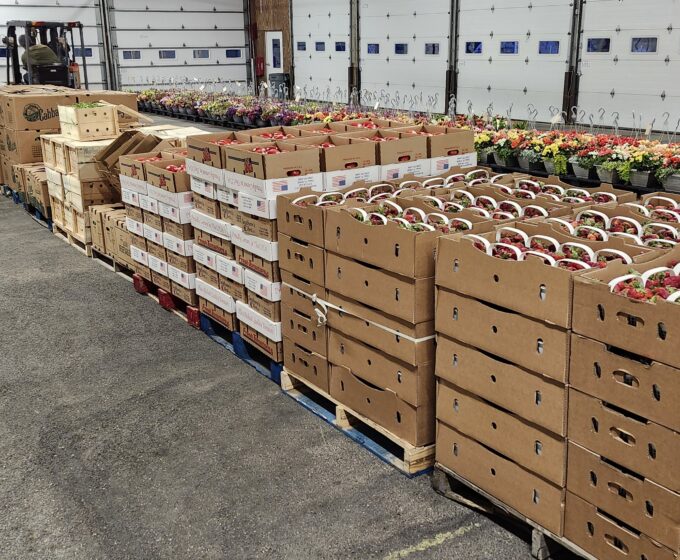 Home - Cumberland Valley Produce Auction